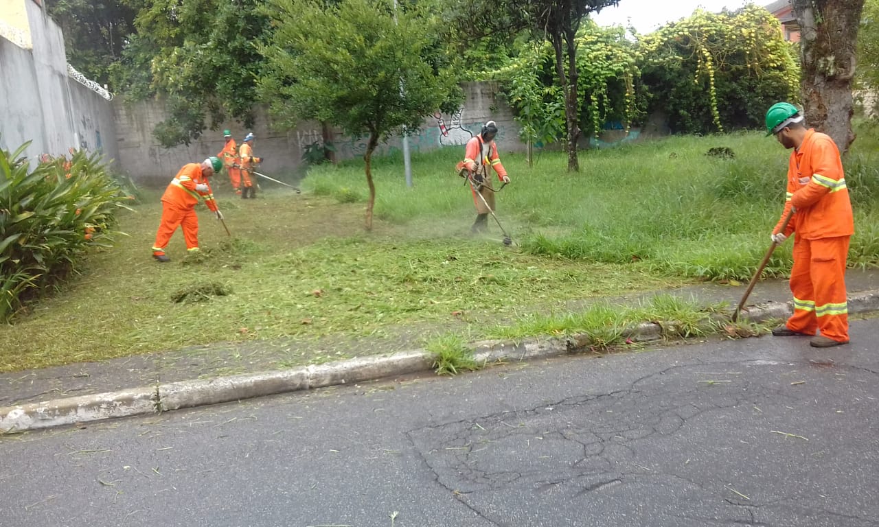 Subprefeitura Capela do Socorro atuando nas áreas verdes da região ...